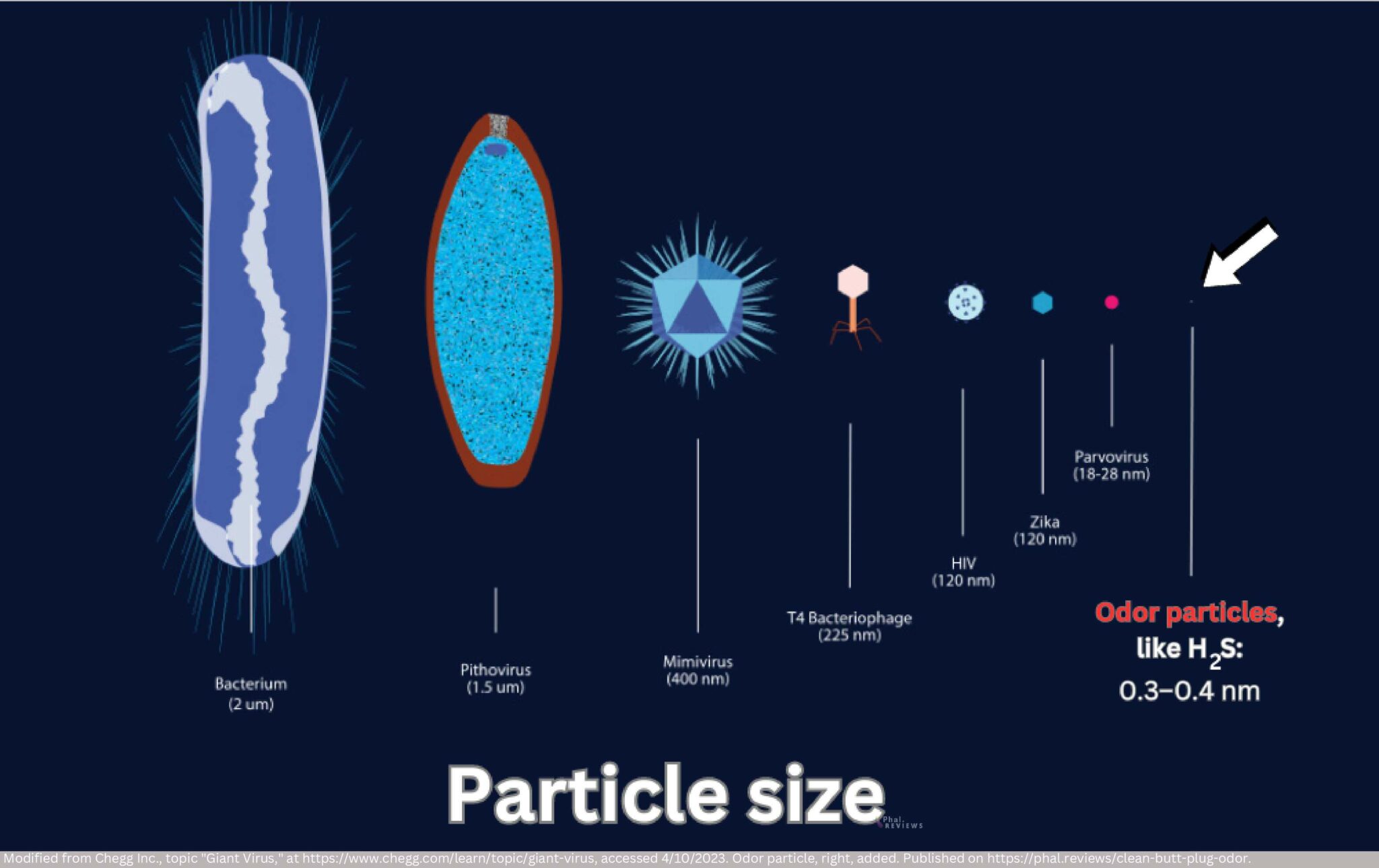Anal Plug Cleaning: How to Remove Butt Plug Odor • Phallophile Reviews